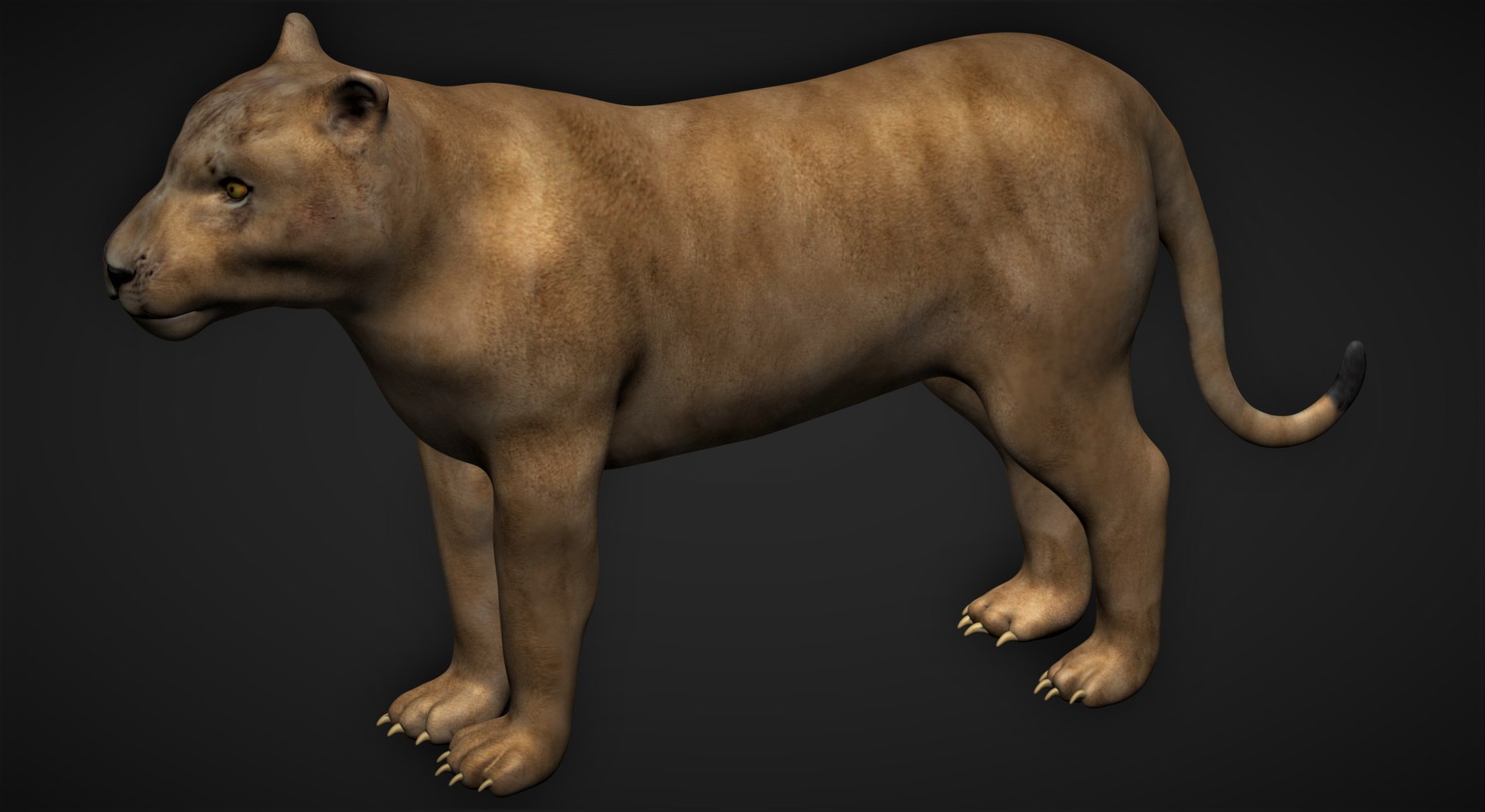 Fully Rigged Female Lion 3D - TurboSquid 1690911