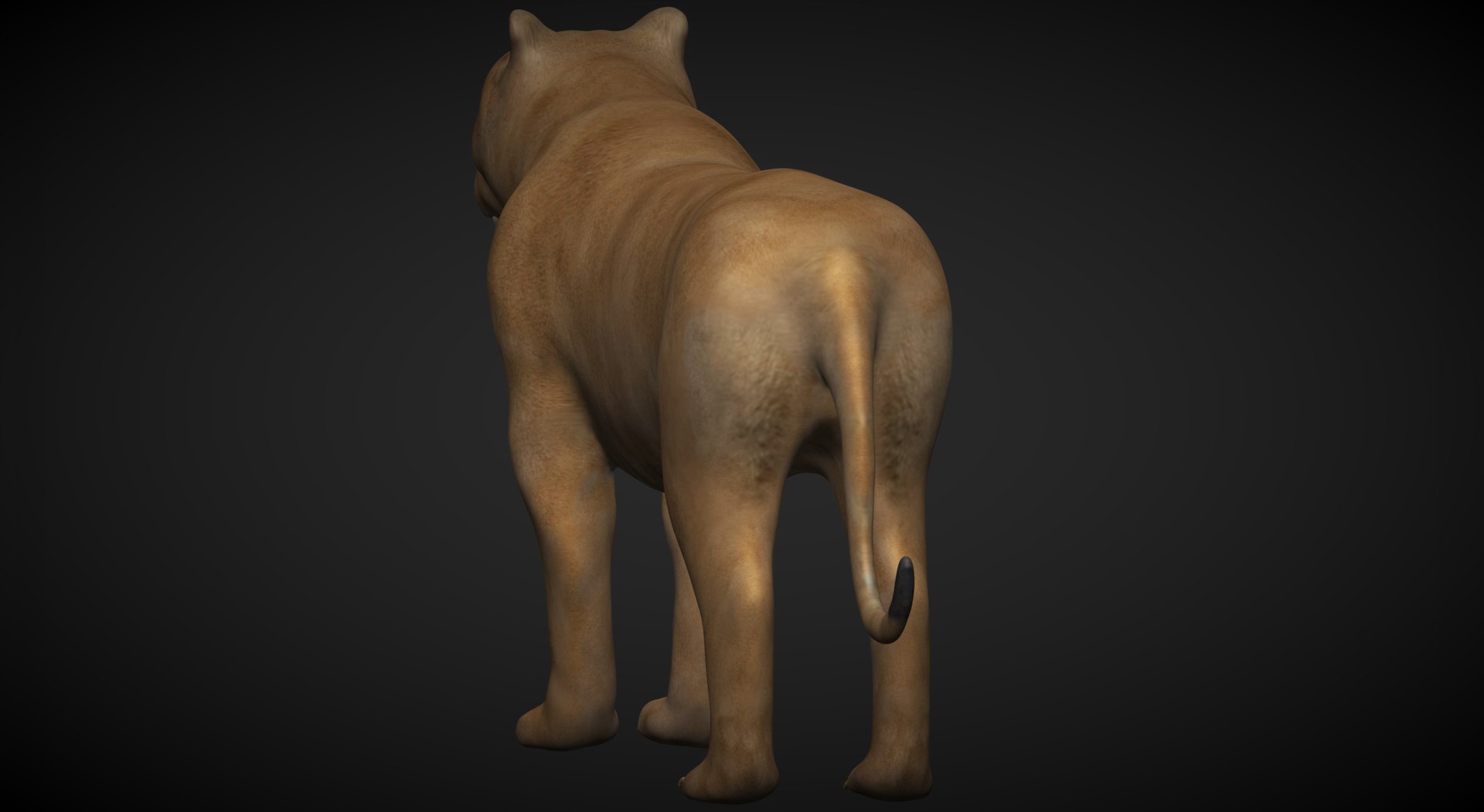 Fully Rigged Female Lion 3D - TurboSquid 1690911