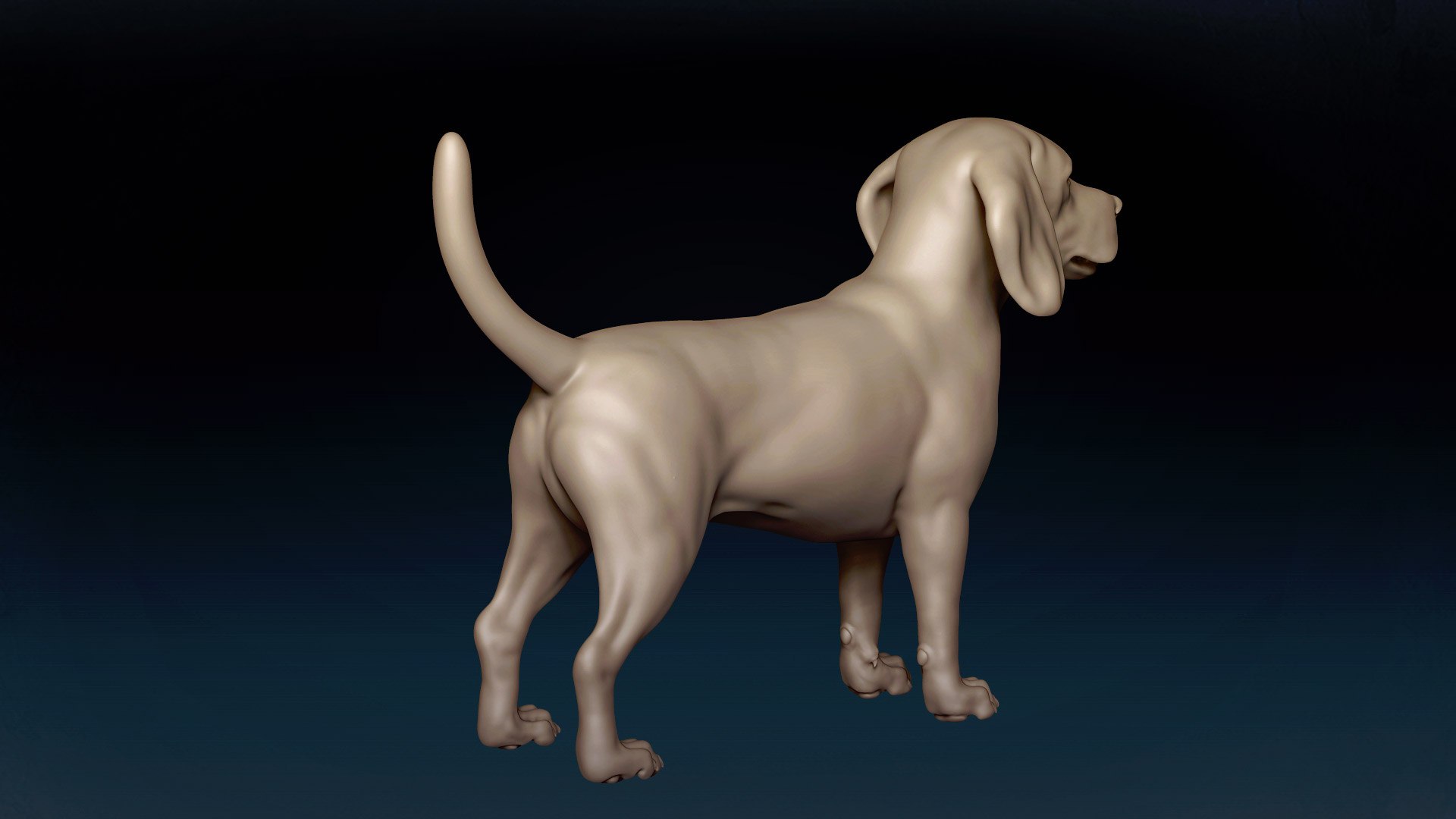 3D Beagle Base Mesh 3D Model - TurboSquid 1863556