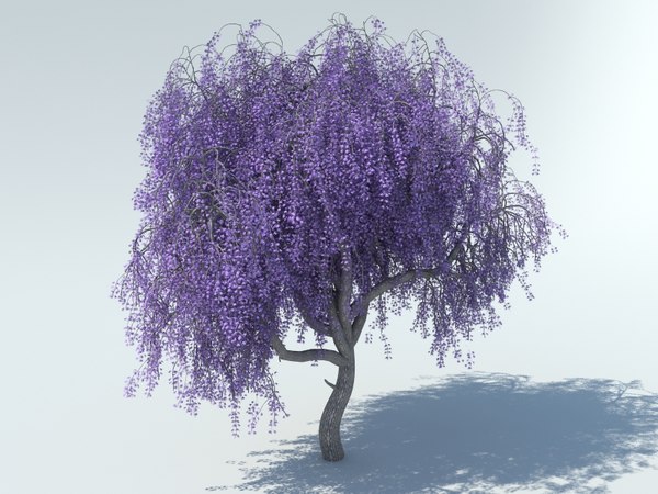 realistic sakura tree 3d max
