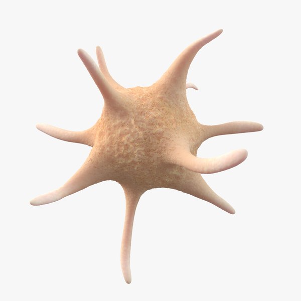 3D model blood platelet - TurboSquid 1317862