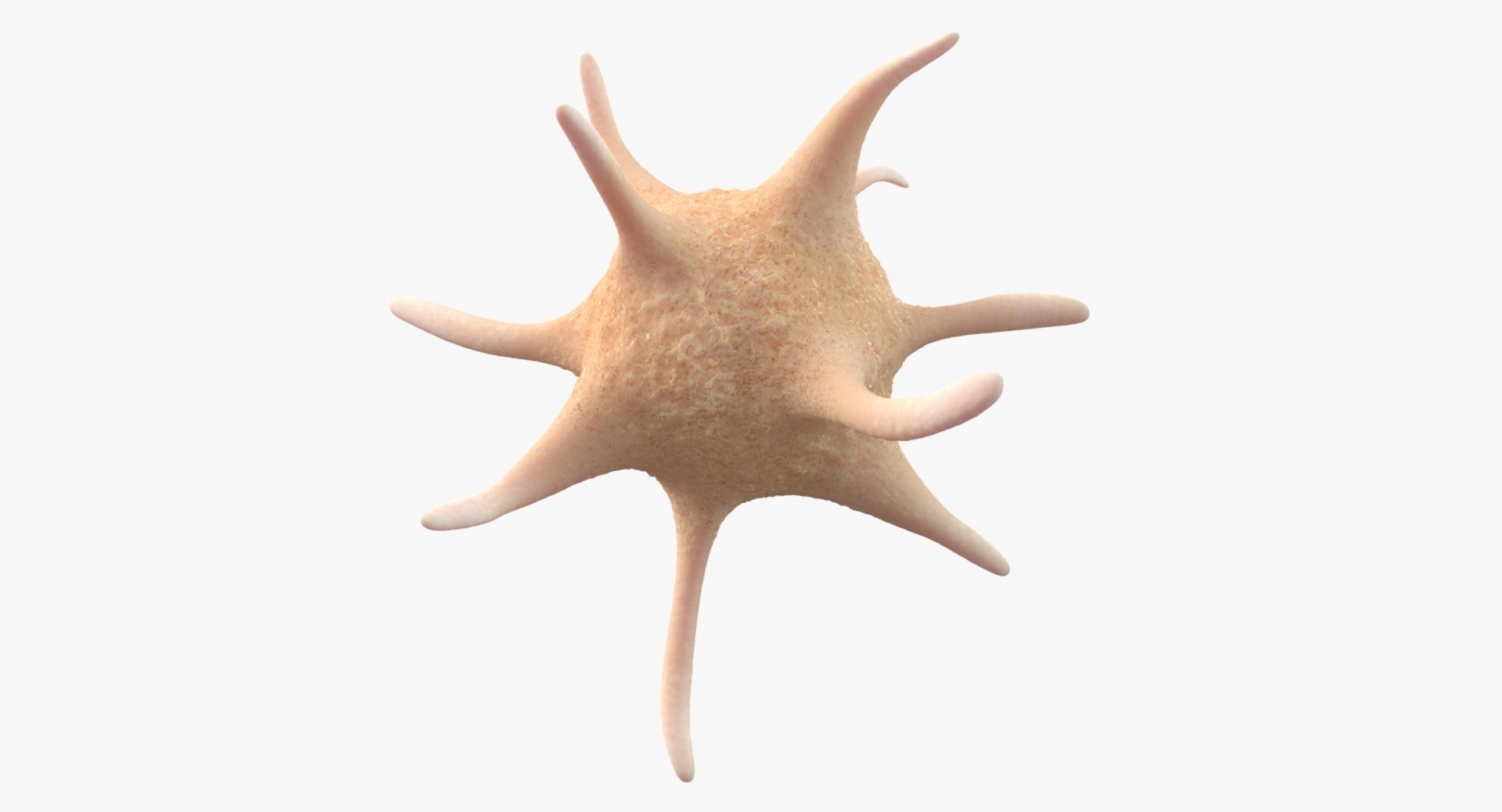 3D Model Blood Platelet - TurboSquid 1317862