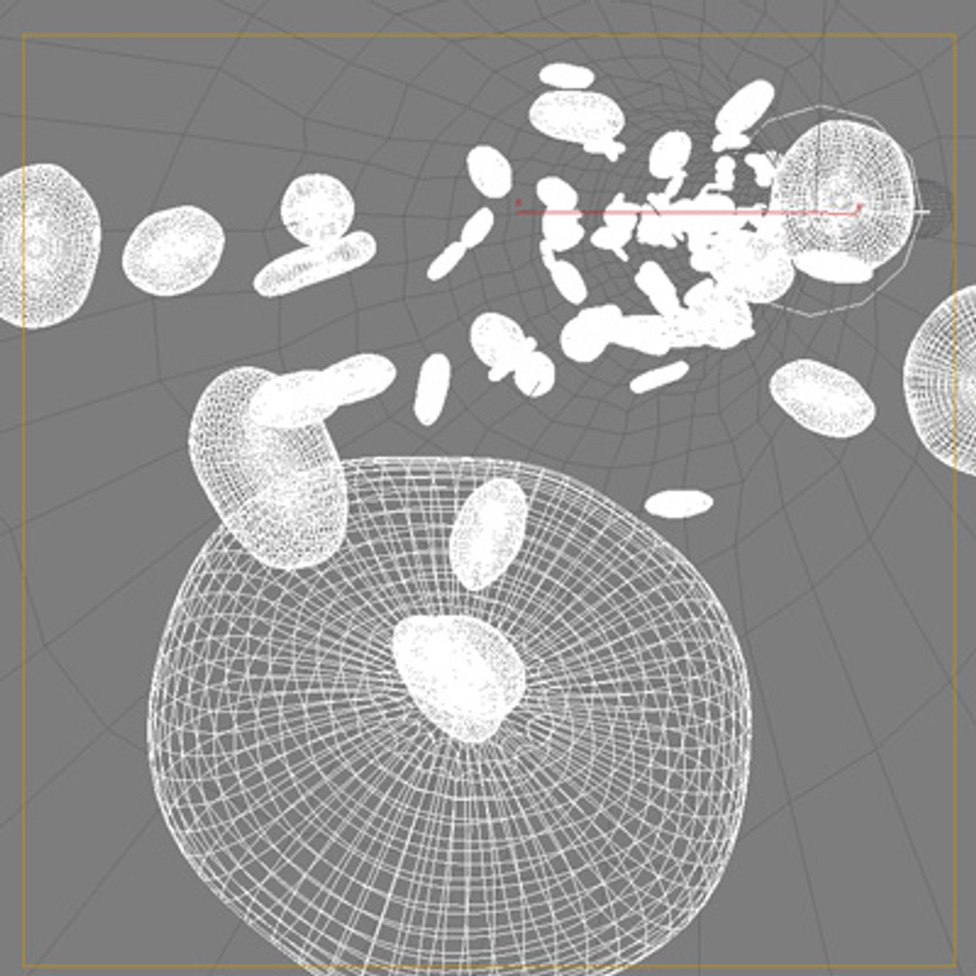 3d Model Blood Cells