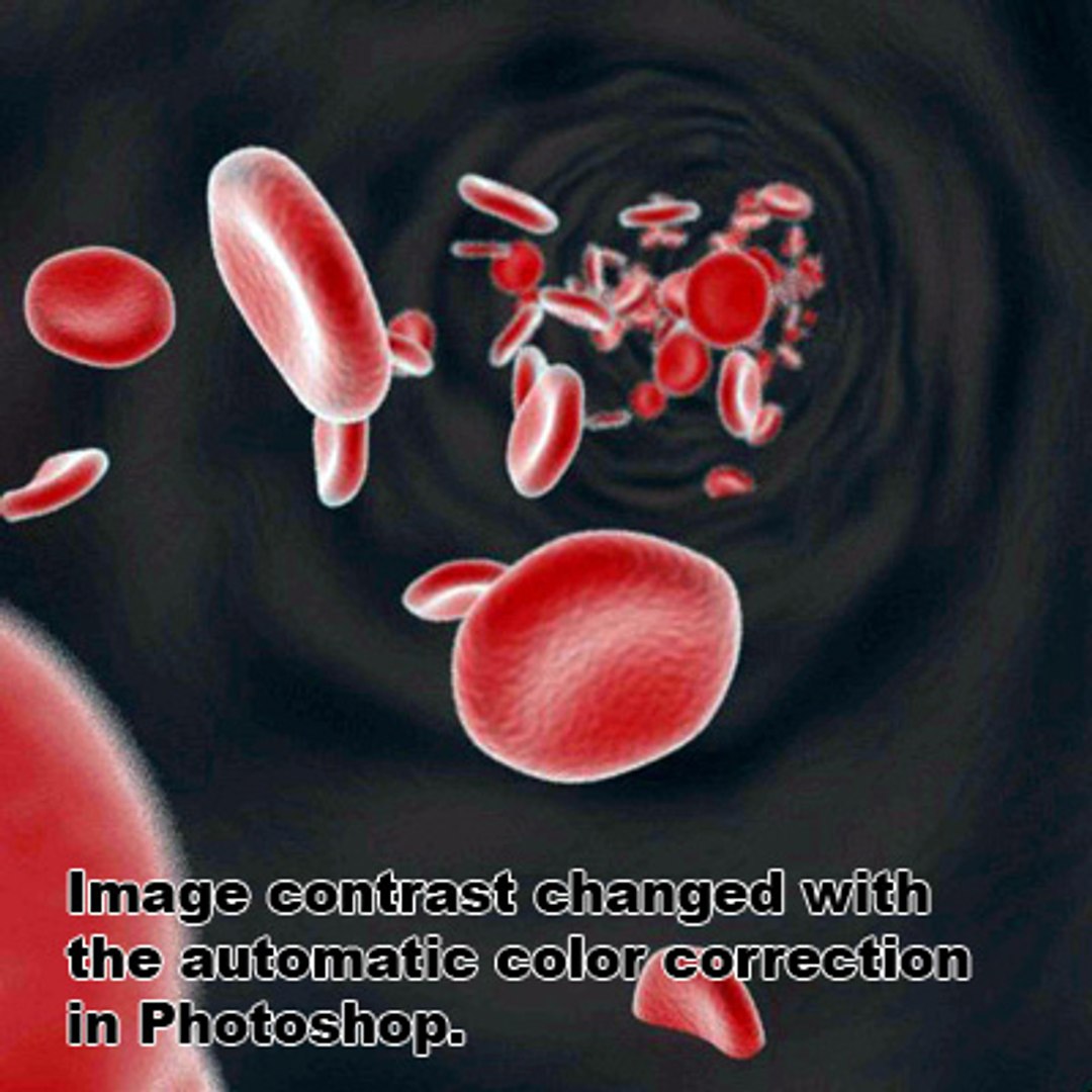 3d Model Blood Cells