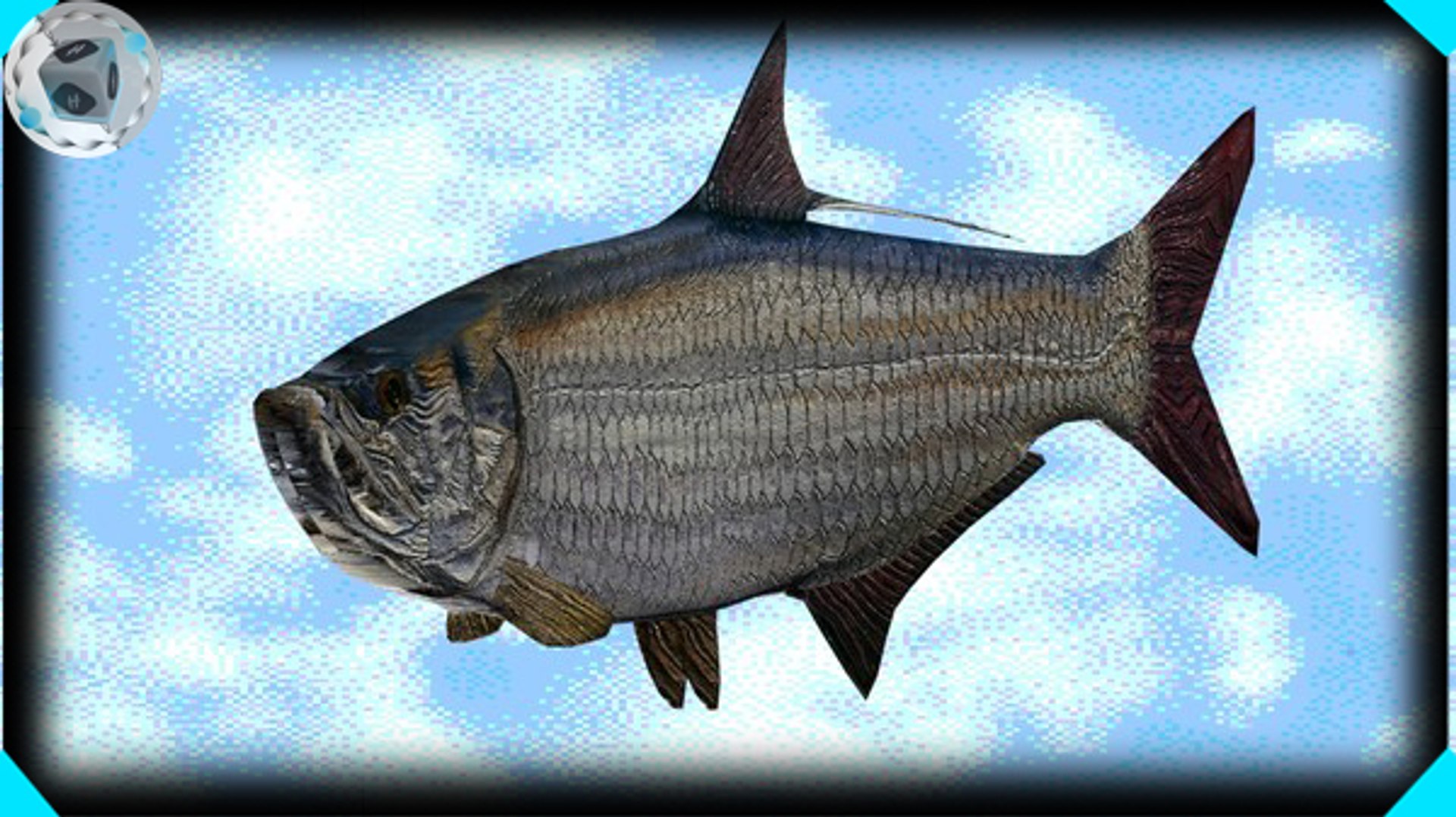 Tarpon Fish 3d 3ds