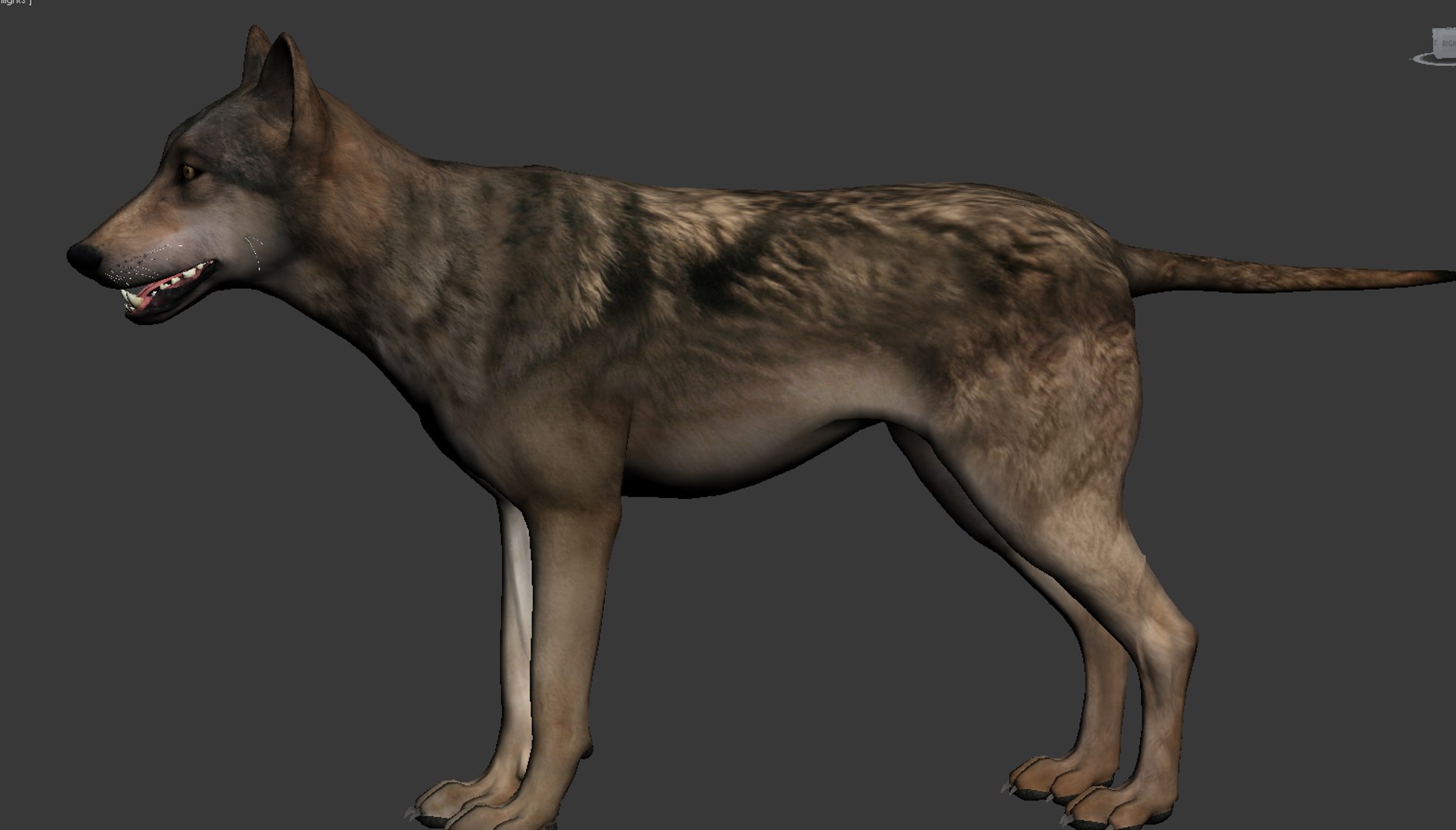Wolf Fbx