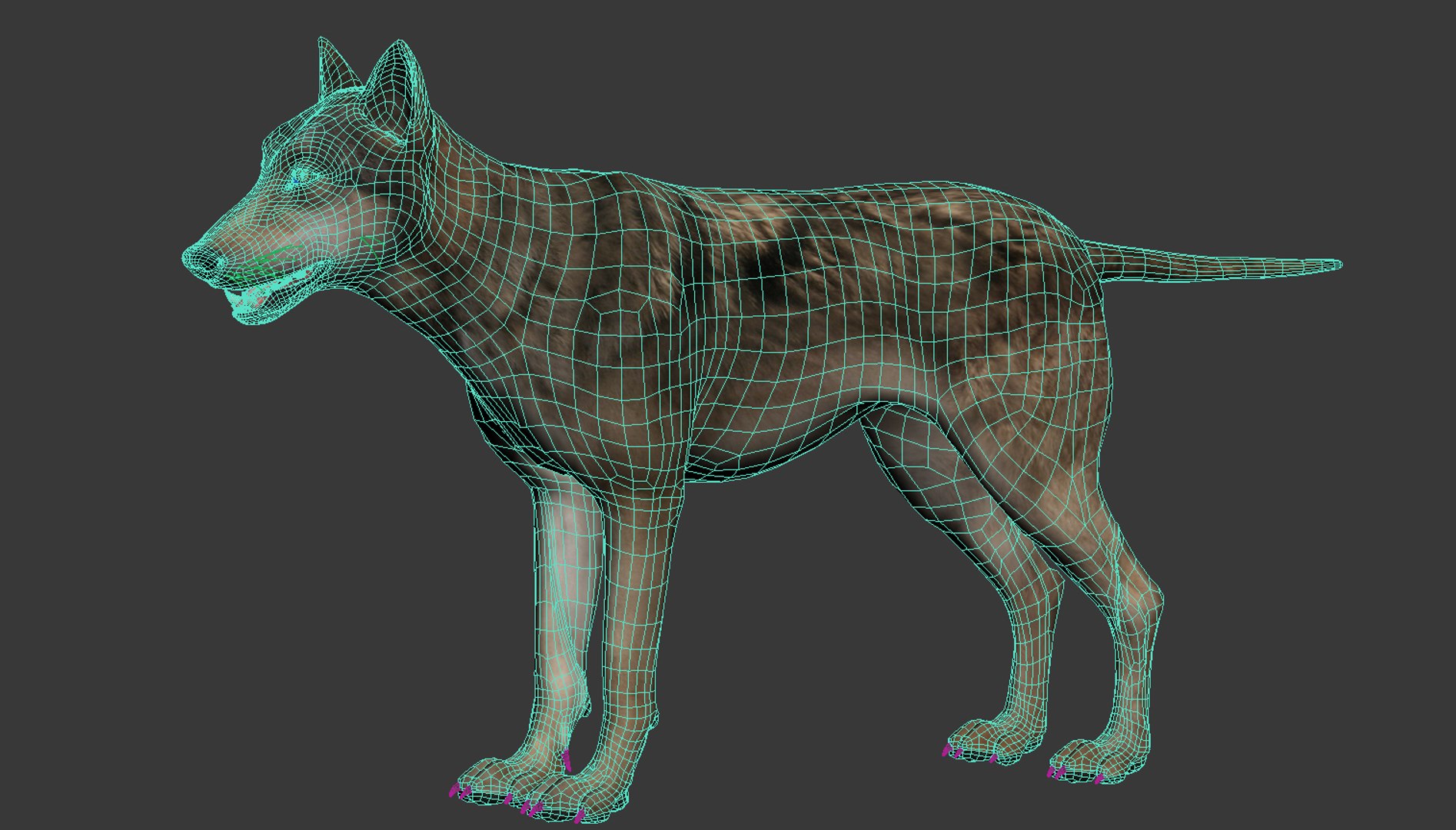 Wolf Fbx