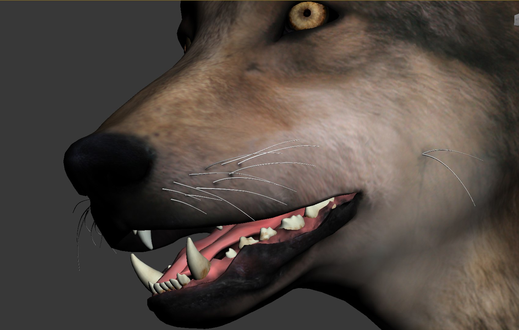 Wolf Fbx