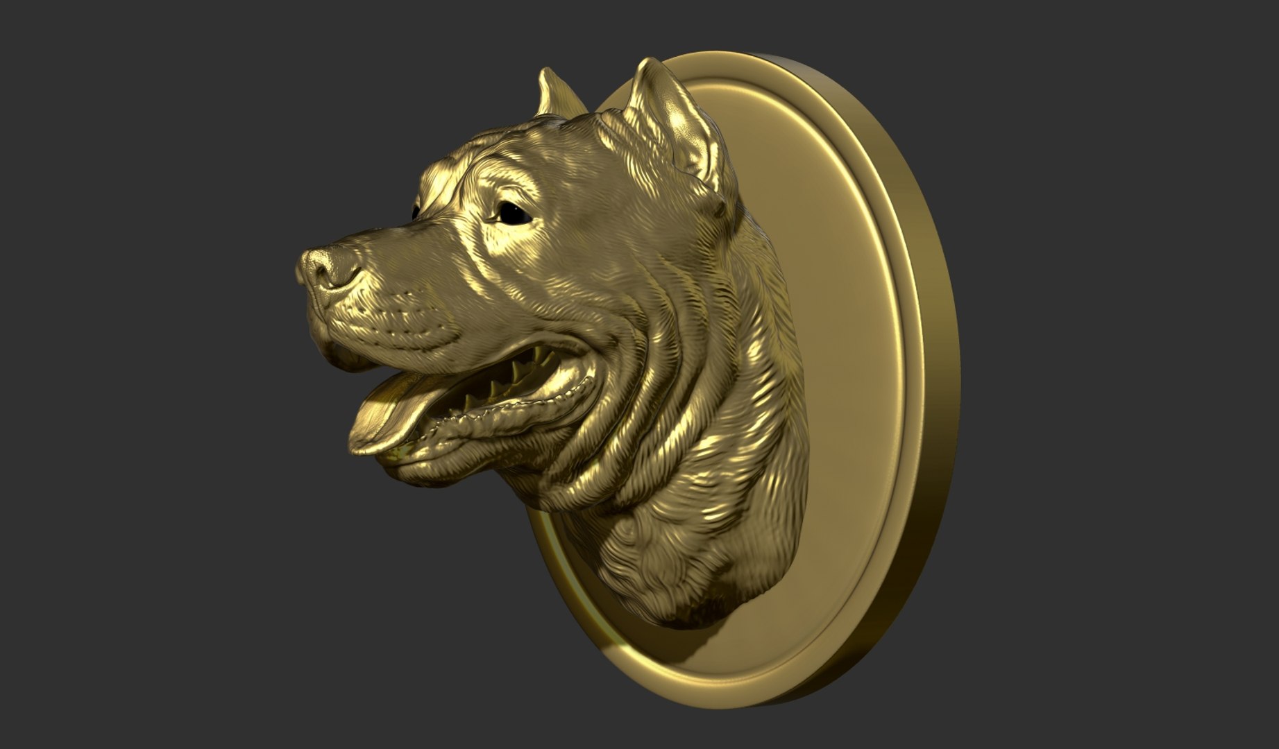Pitbull Terrier Head 3D Model - TurboSquid 1808706