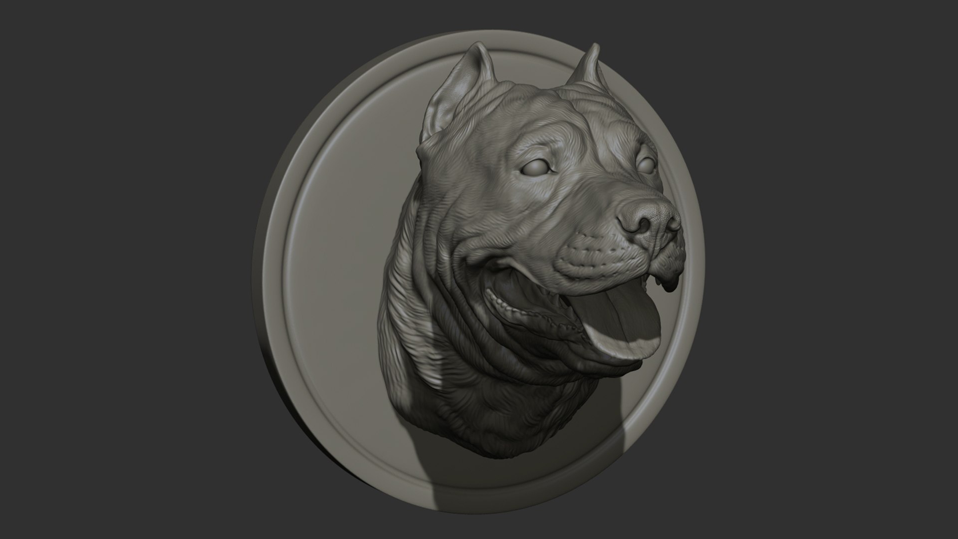 Pitbull Terrier Head 3D Model - TurboSquid 1808706