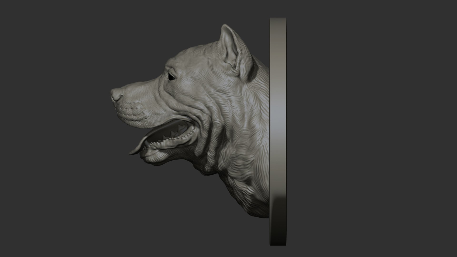 Pitbull Terrier Head 3D Model - TurboSquid 1808706