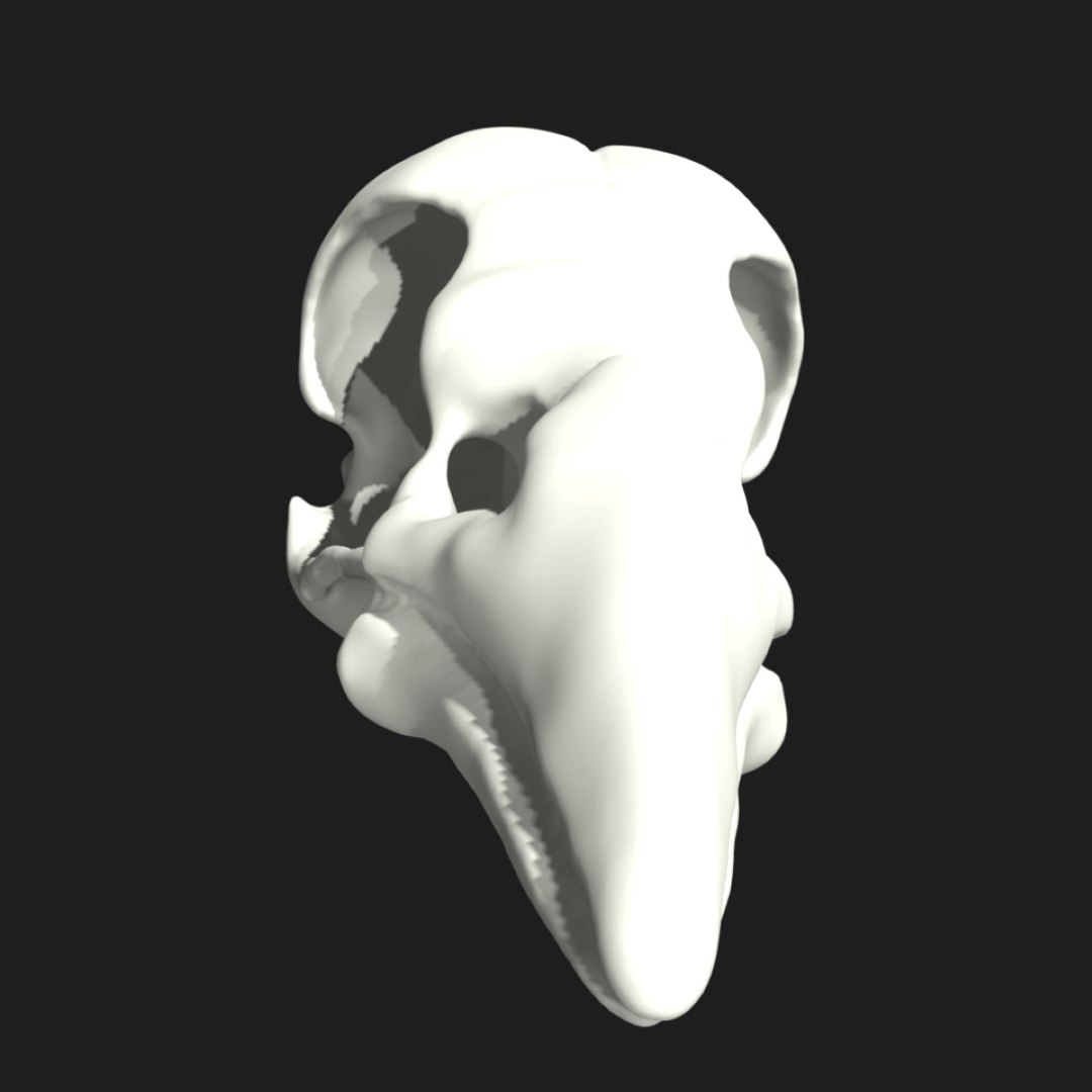 3D Raven Crow Skull - TurboSquid 1769135