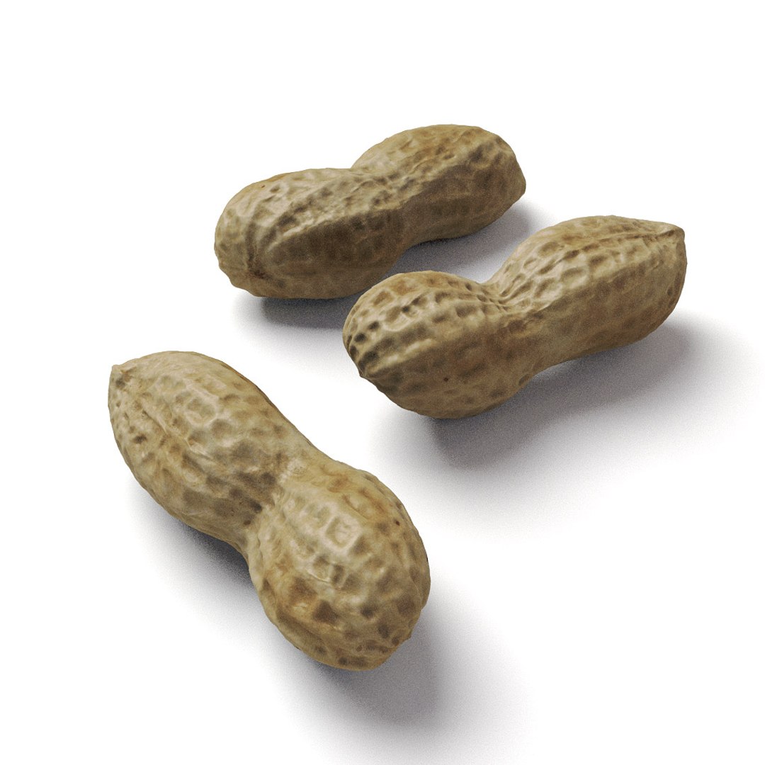 Peanut Scan 3d Obj
