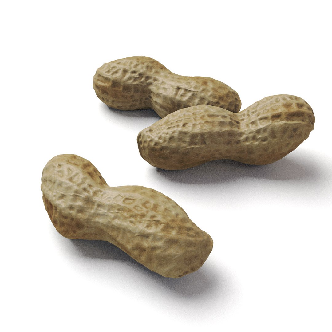Peanut Scan 3d Obj