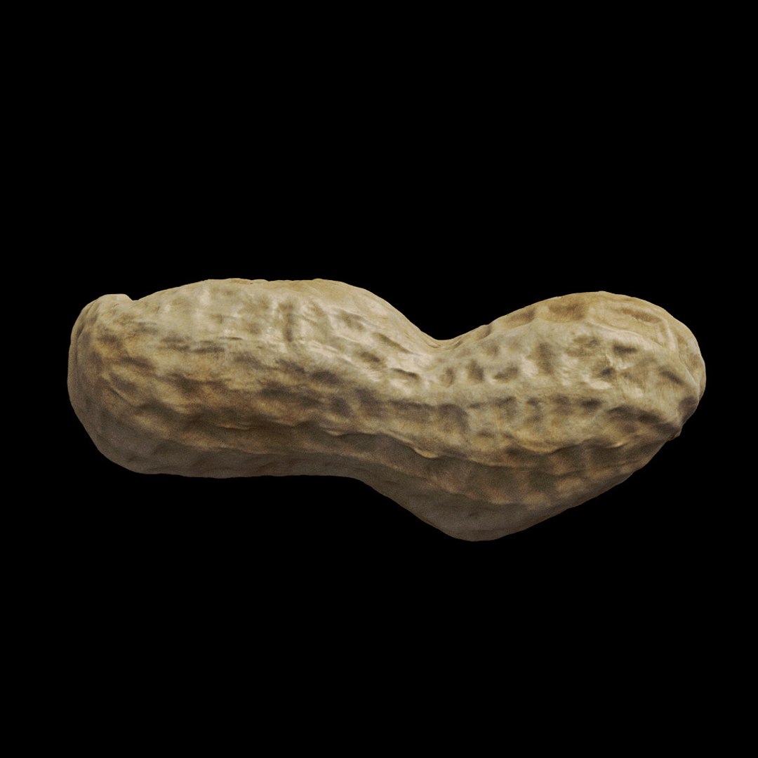 Peanut Scan 3d Obj