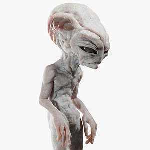 Free Rigged Characters Blender 3D Models For Download | TurboSquid