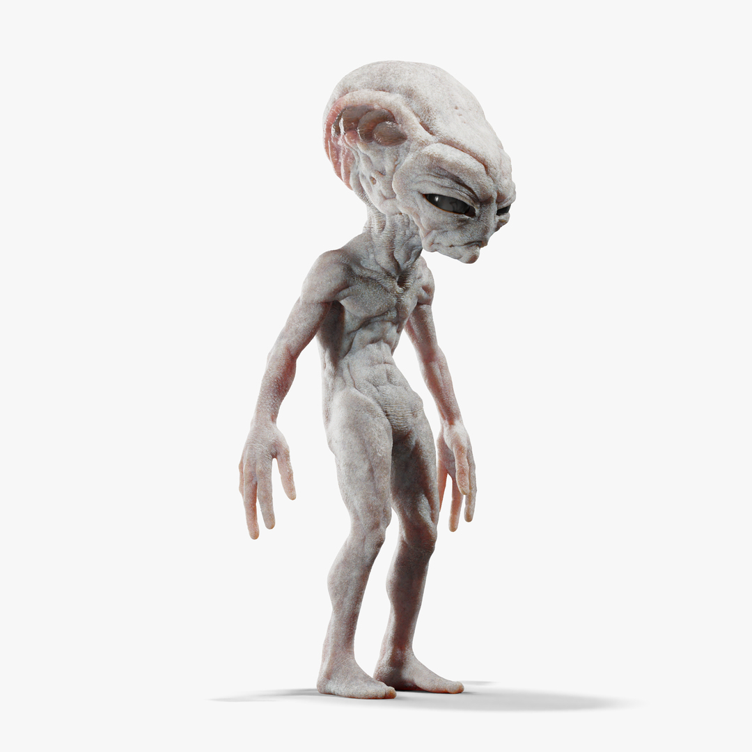 3D Gray Alien - TurboSquid 2014166