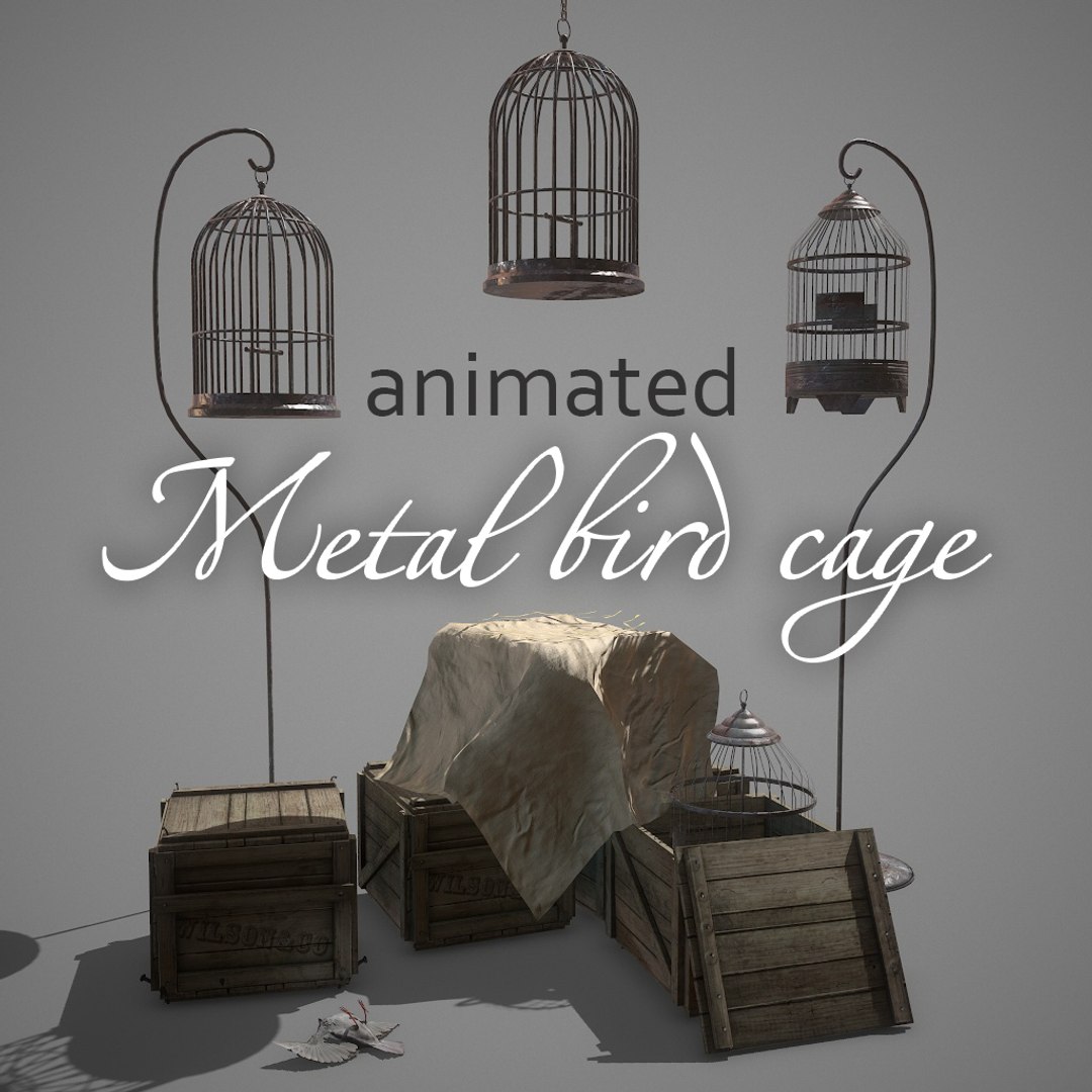 Metal Bird Cage Animated Pbr Low-poly 3D Model - TurboSquid 1720882