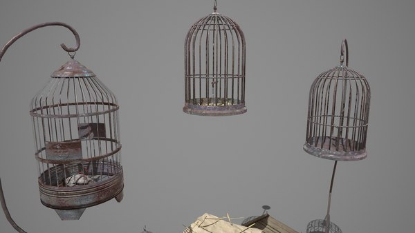 Metal bird cage animated pbr Low-poly 3D model - TurboSquid 1720882