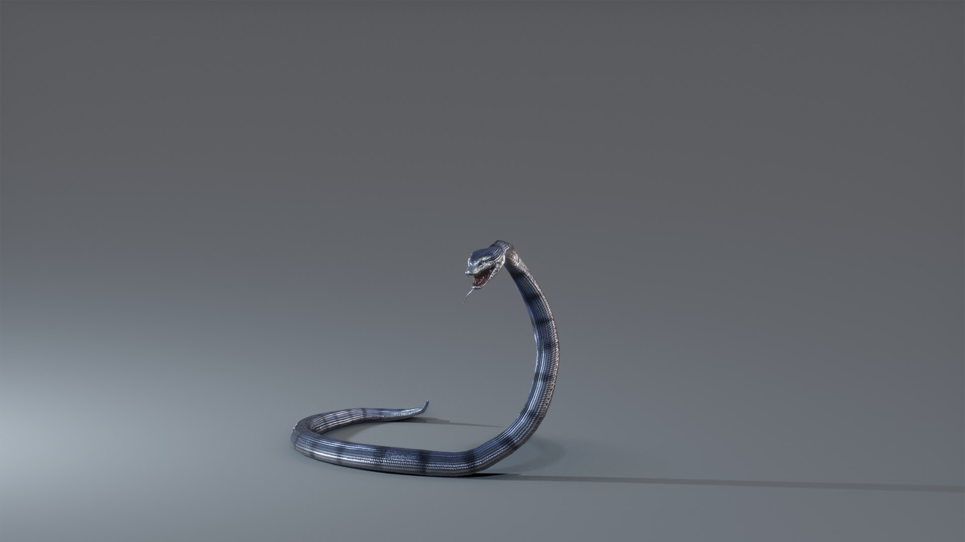 Snake - rigged and photorealistic 3D 모델 - TurboSquid 2047203