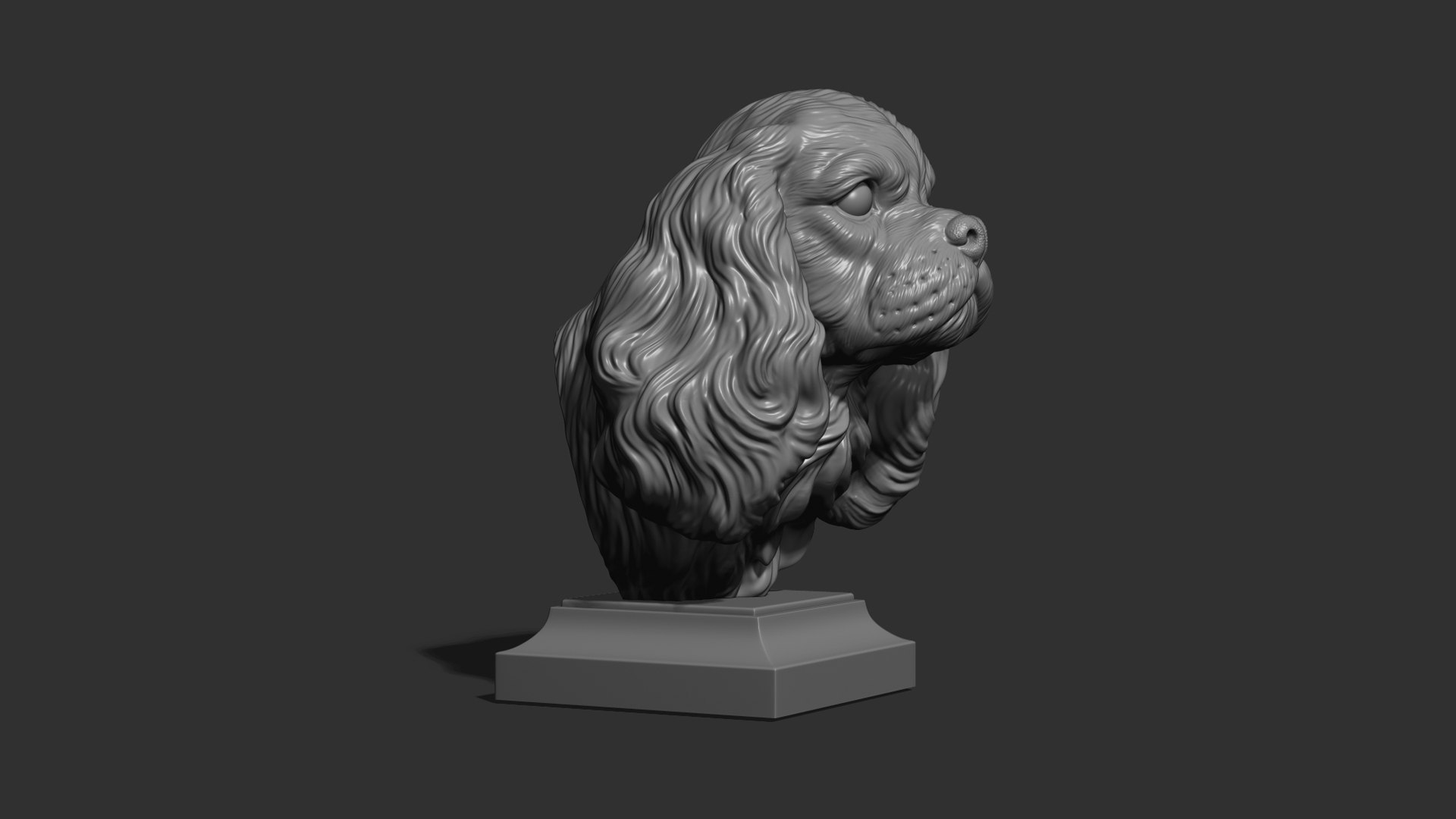 Spaniel Cavalier King Charles Bust 3D Model - TurboSquid 2148866