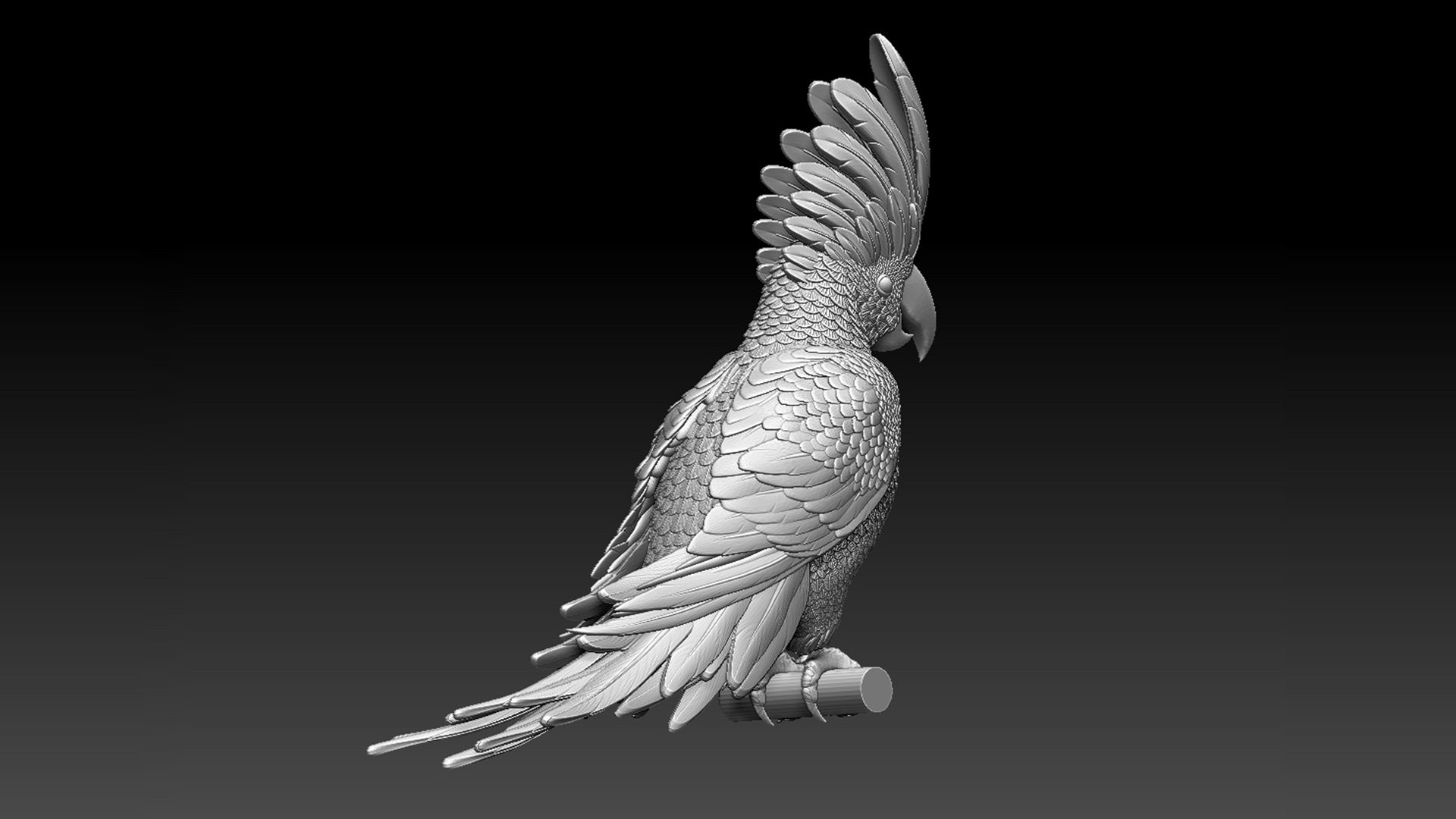 3D Parrot - TurboSquid 1765594