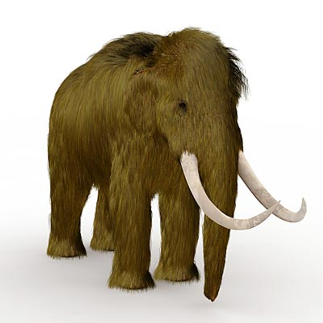 extinct mammoth elephant 3d model