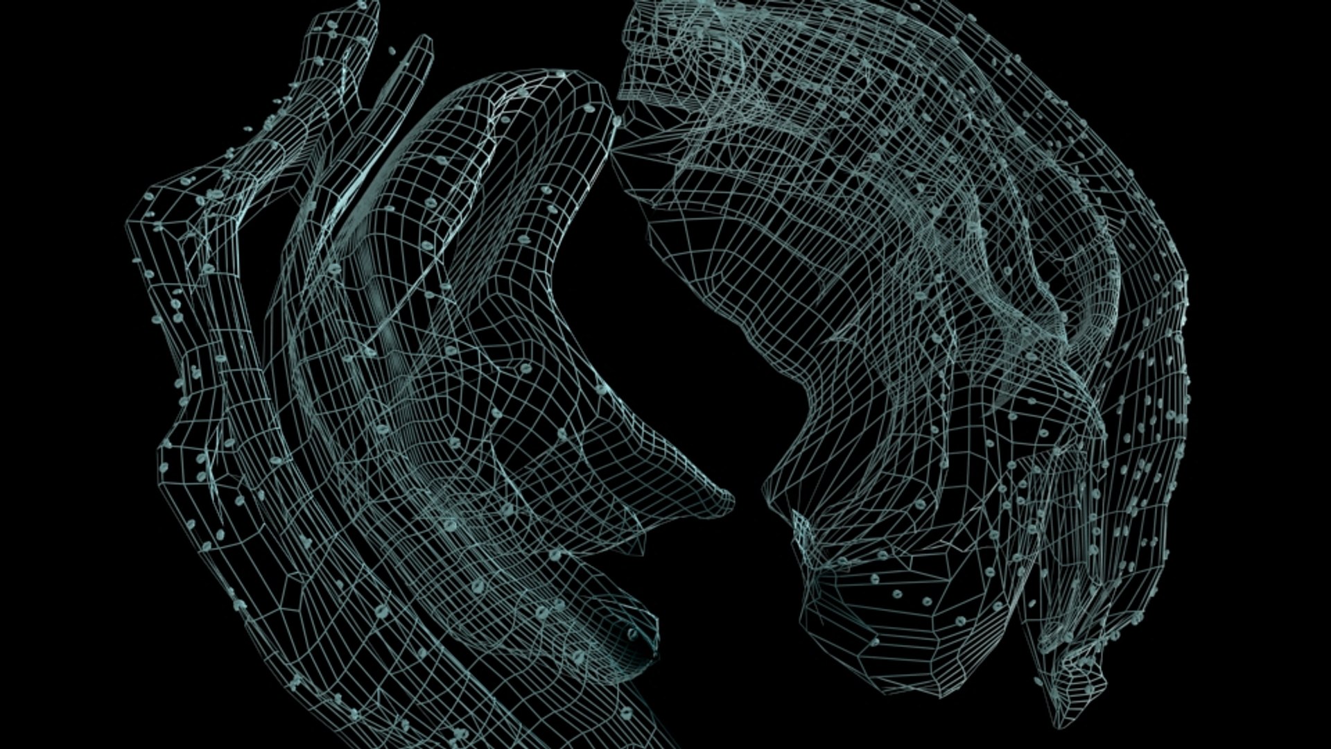 3d model nucleus cell endoplasmic reticulum
