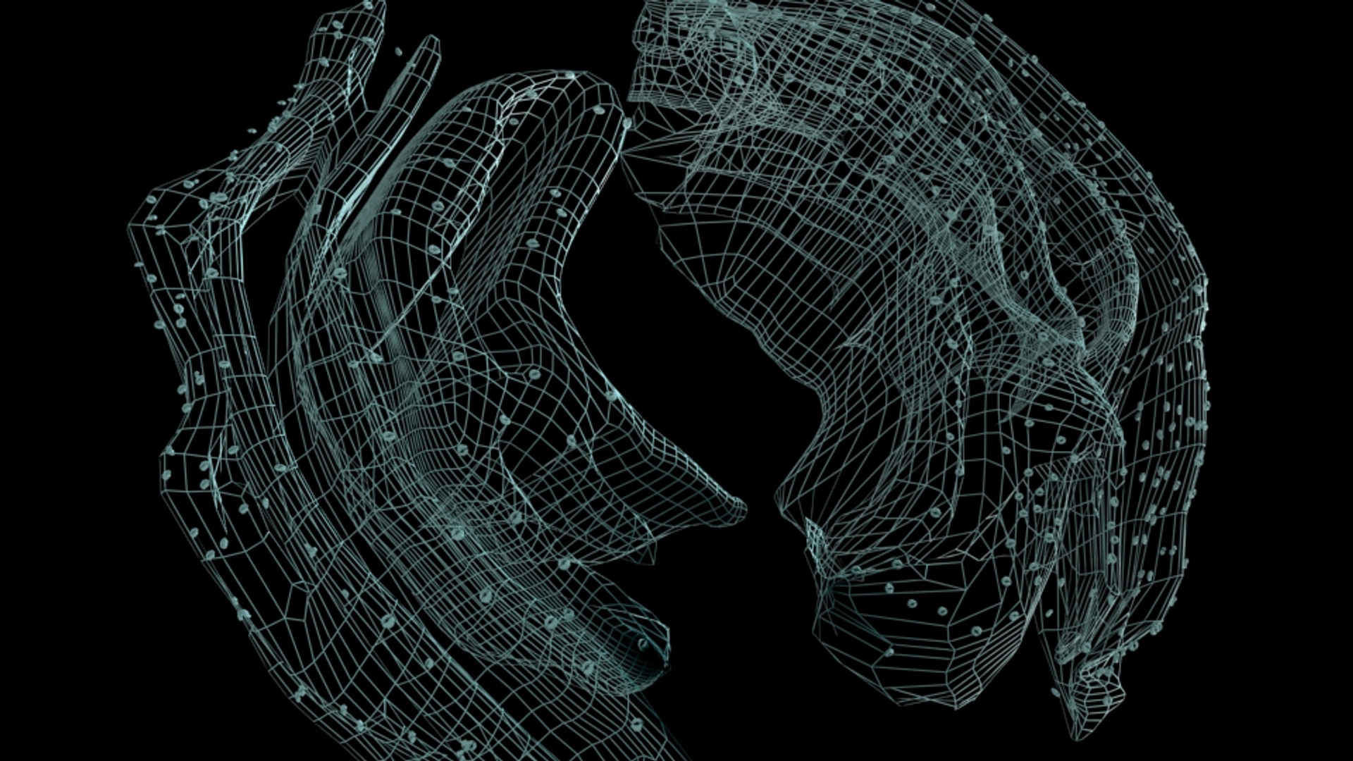 3d model nucleus cell endoplasmic reticulum