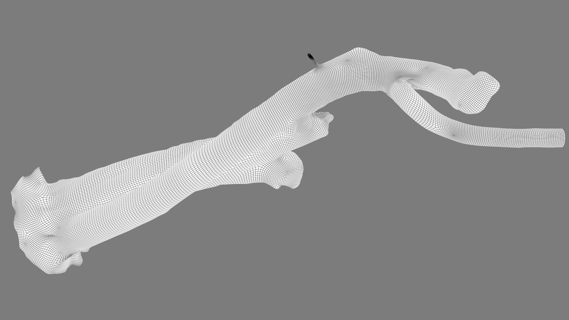 Scanned Tree Trunk 01 3D - TurboSquid 2113232