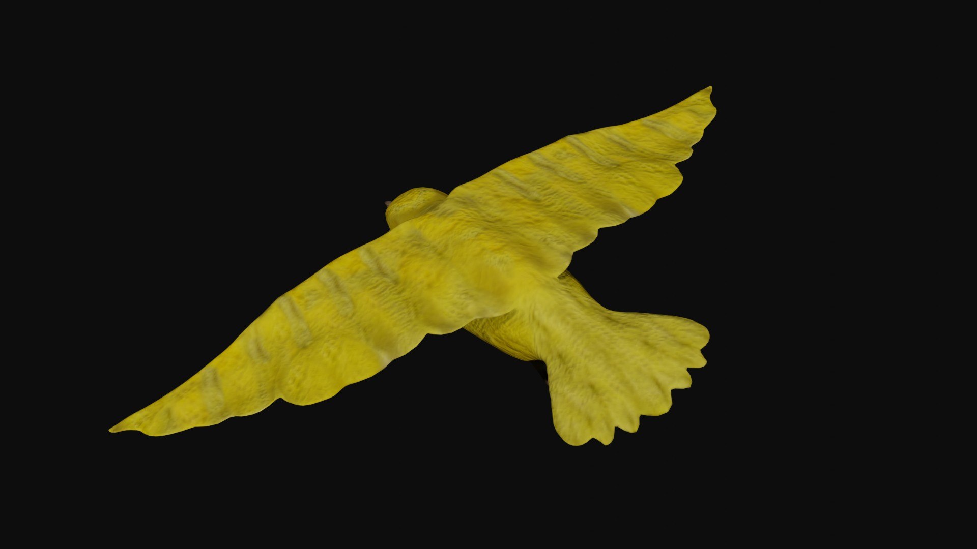 3D Canary Rigged Model - TurboSquid 1746038