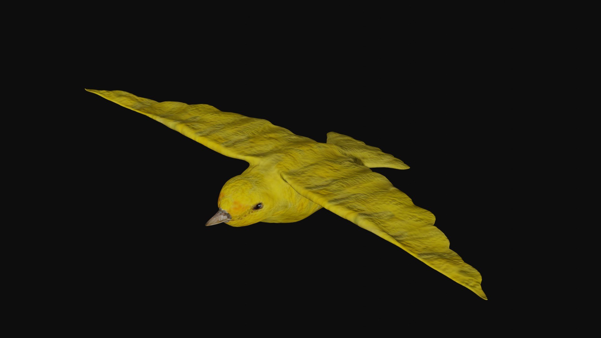 3D Canary Rigged Model - TurboSquid 1746038