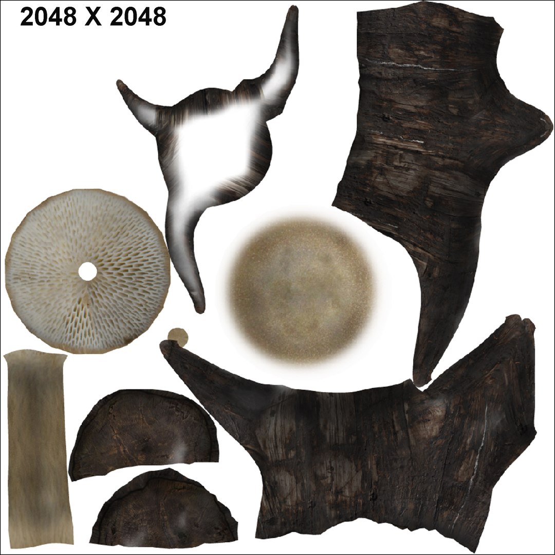 maya fungi imperfecti taxonomic
