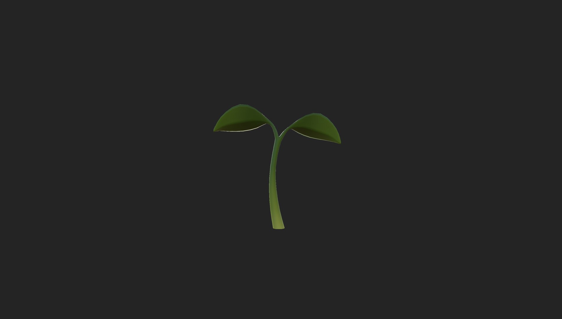 Sprout 3D Model - TurboSquid 1211469