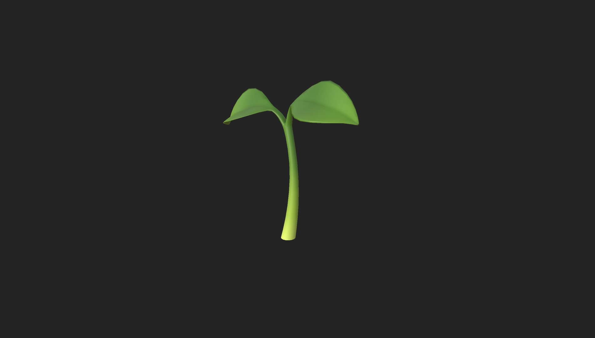 Sprout 3D Model - TurboSquid 1211469