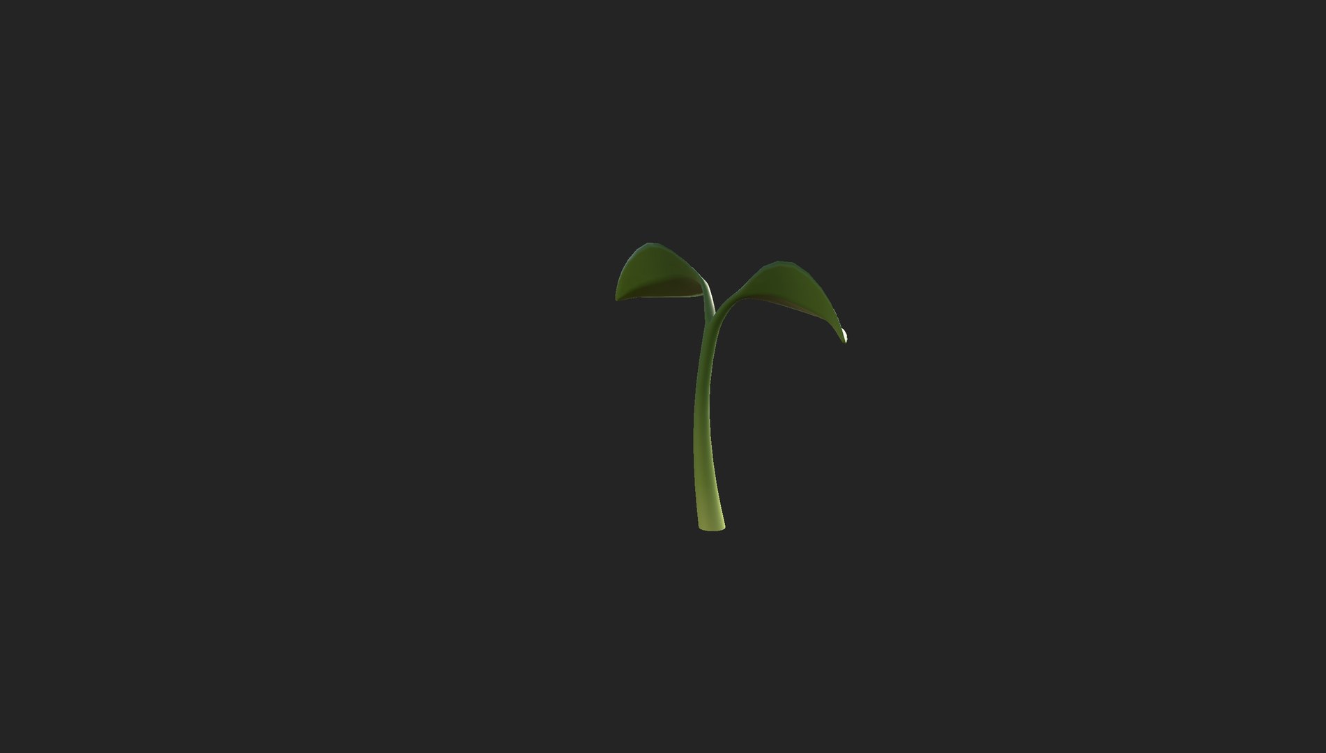 Sprout 3D Model - TurboSquid 1211469