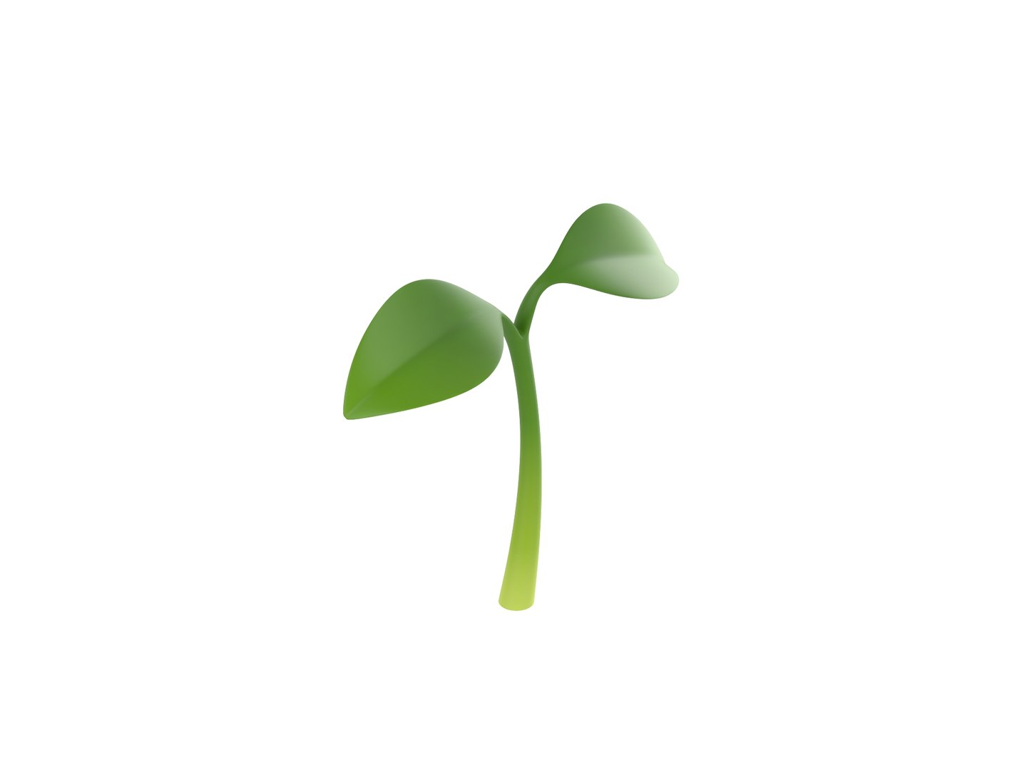 Sprout 3D Model - TurboSquid 1211469