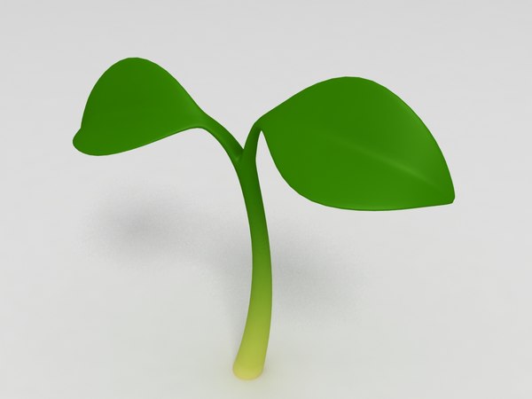 Sprout 3D model - TurboSquid 1211469