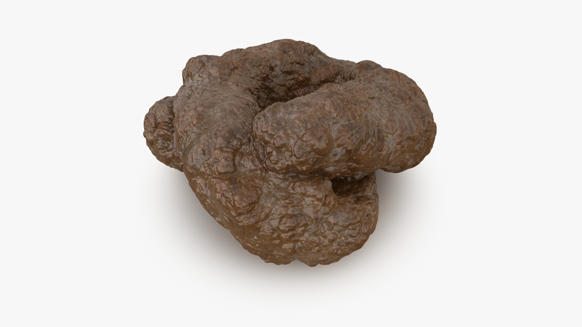 Poop Collection 3D - TurboSquid 2081786