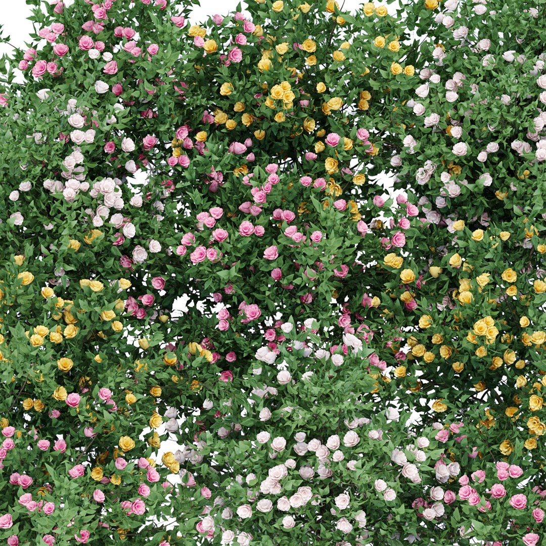 Flowering Bushes Collection Vol 42 3D Model - TurboSquid 1951824