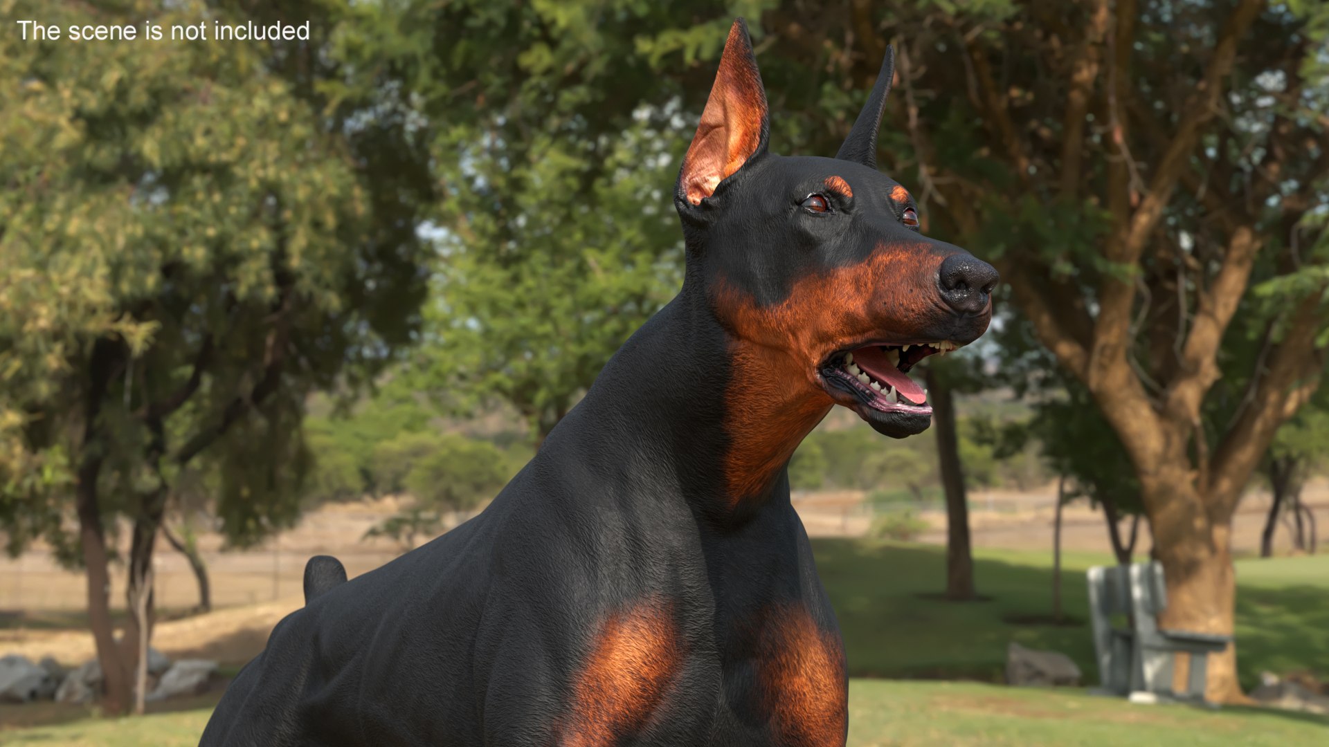 Doberman Pinscher Dog Rigged For Maya 3D Model - TurboSquid 2276424