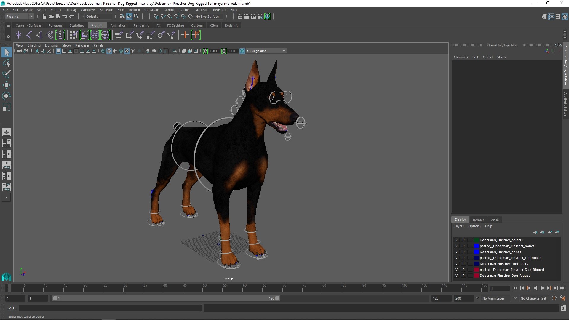 Doberman Pinscher Dog Rigged For Maya 3D Model - TurboSquid 2276424