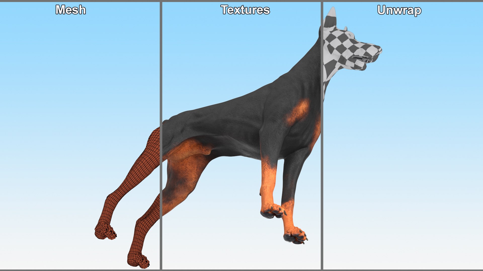Doberman Pinscher Dog Rigged For Maya 3D Model - TurboSquid 2276424