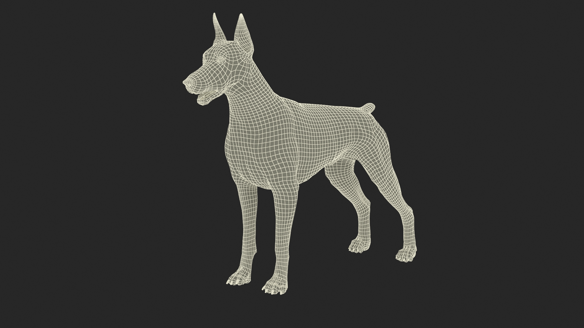 Doberman Pinscher Dog Rigged For Maya 3D Model - TurboSquid 2276424