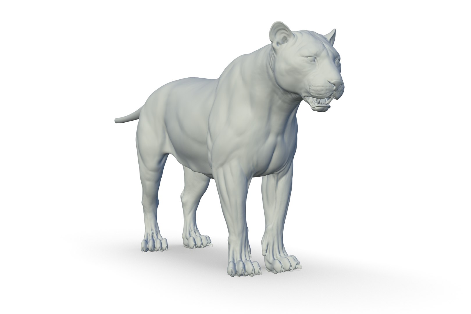 3D Royal Bengal Tiger Model - TurboSquid 2213680