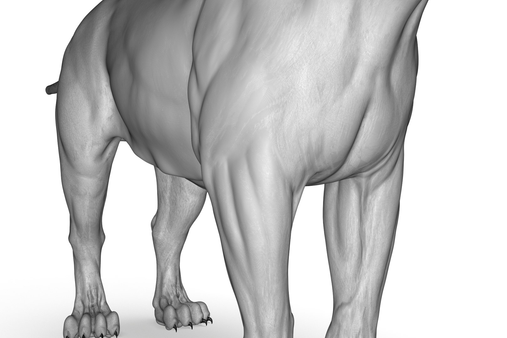 3D Royal Bengal Tiger Model - TurboSquid 2213680