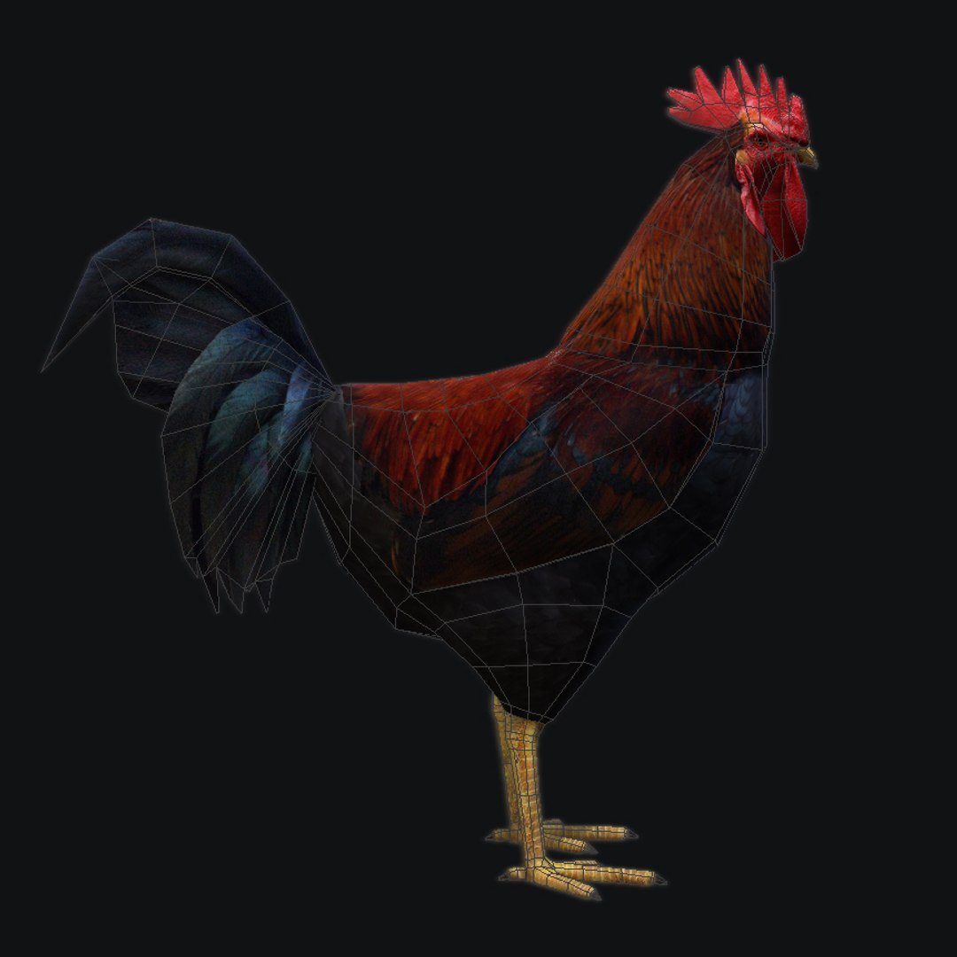 3d Rooster