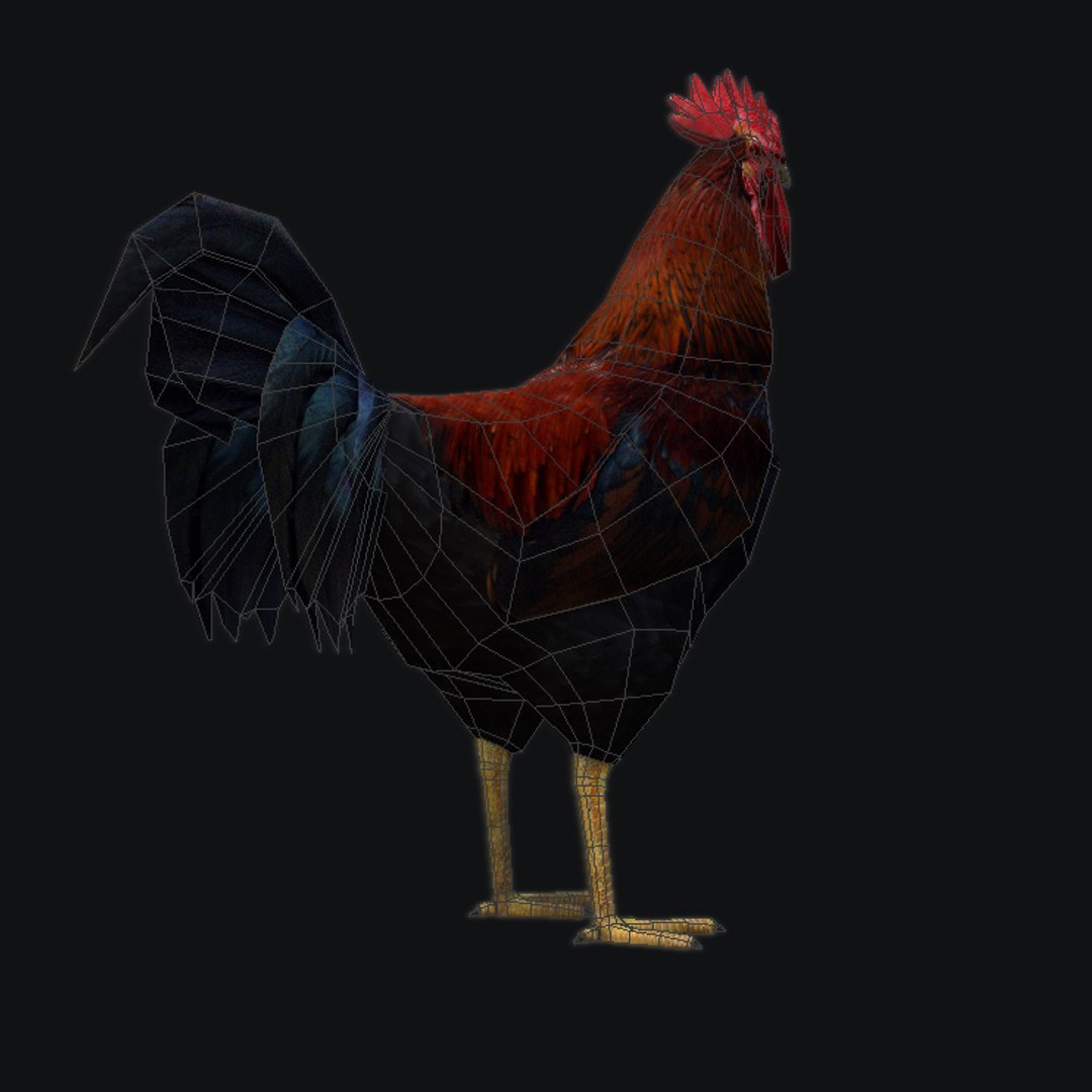 3d Rooster