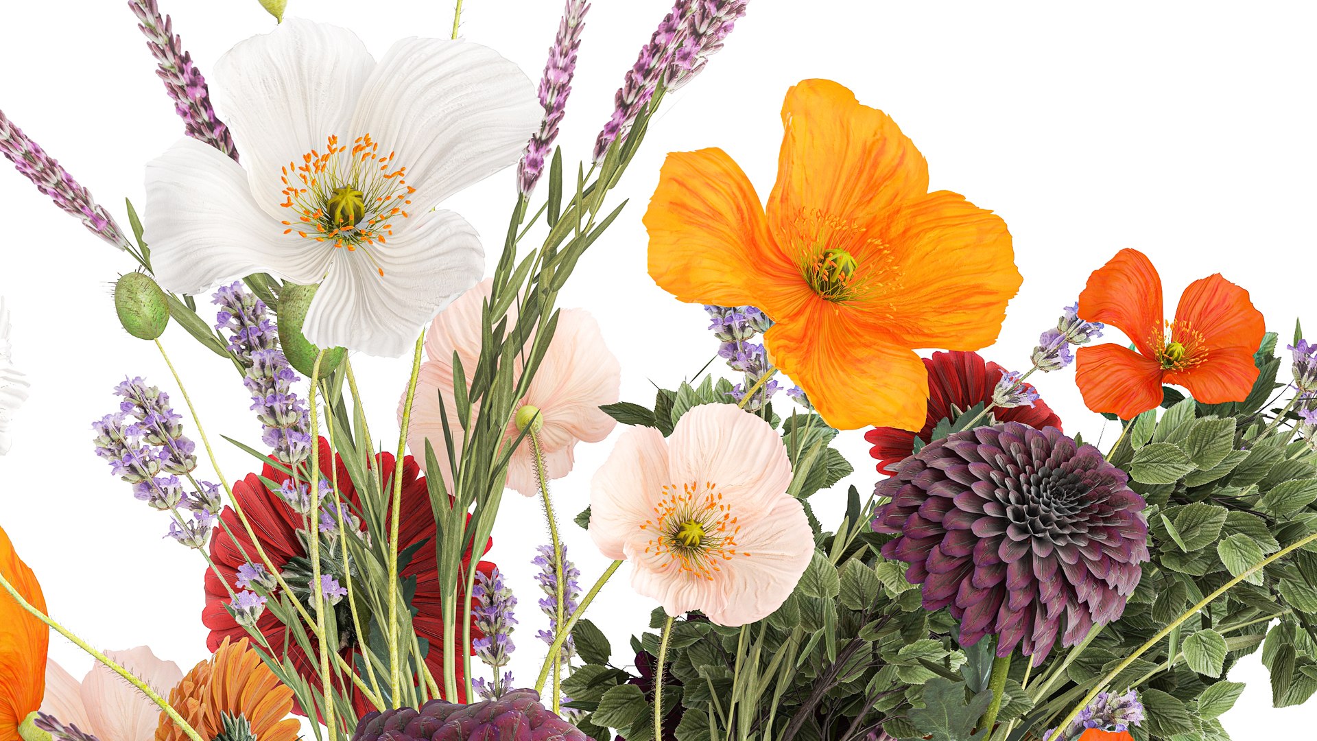 3D Bouquet Of Wildflowers Chrysanthemum Lavender Poppy 408 - TurboSquid ...
