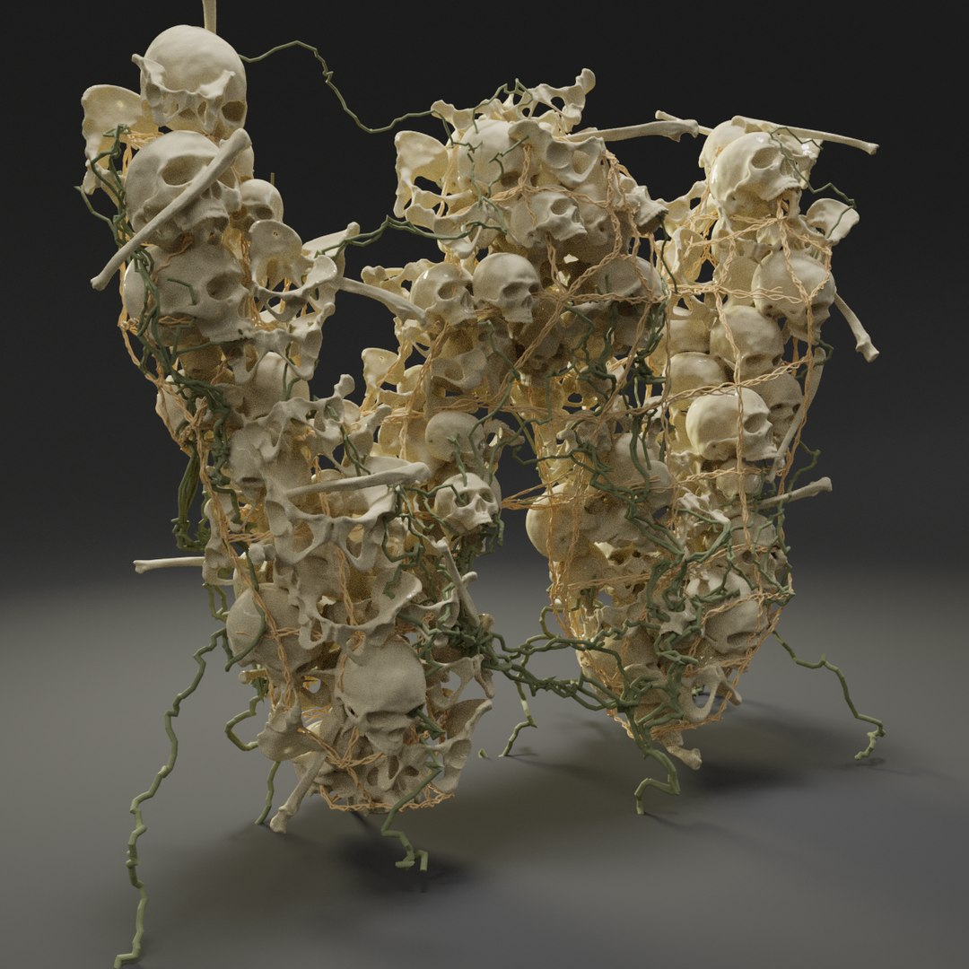 Letter W Bones Skeleton 3D Model - TurboSquid 1546315